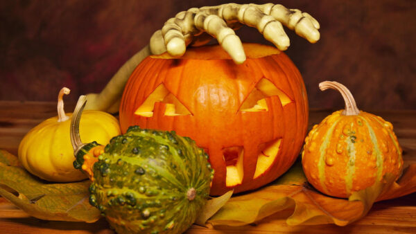 UW Campus Compost Pumpkin Carving – Waterloo Undergraduate Student ...